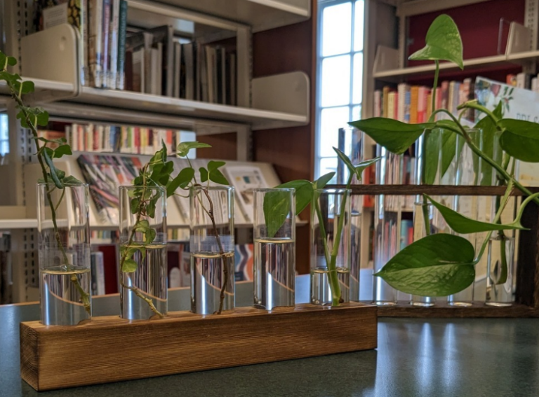 Seeds – Plymouth District Library